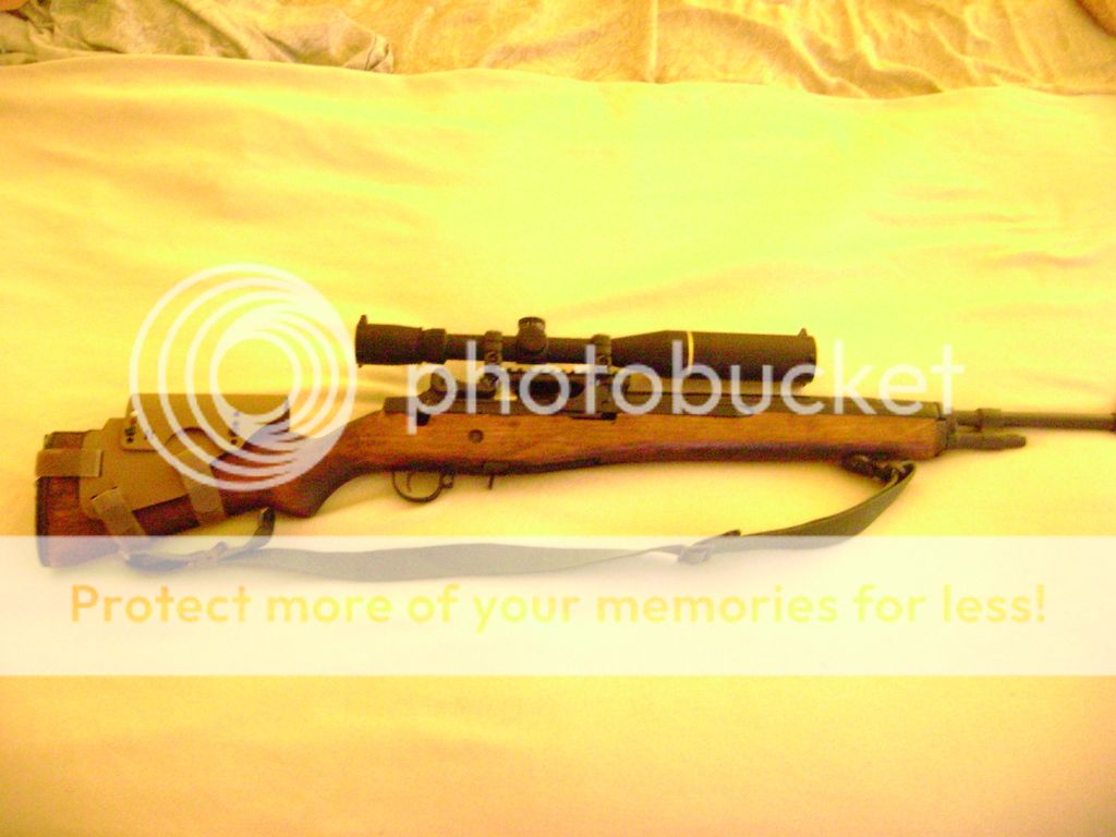 Which Bradley cheek rest? | M14 Forum