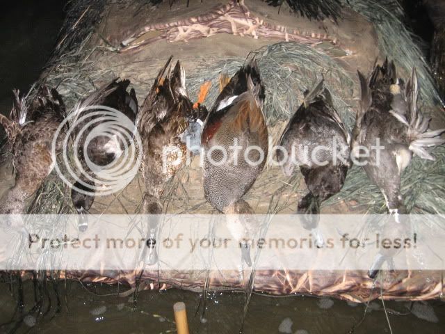 Beavertail final attack boat | Duck Hunting Forum