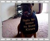 The truth about slobber *pic and vid* | Boxer Breed Dog Forums