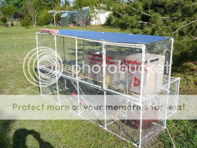 PVC for run framing? | BackYard Chickens - Learn How to Raise Chickens