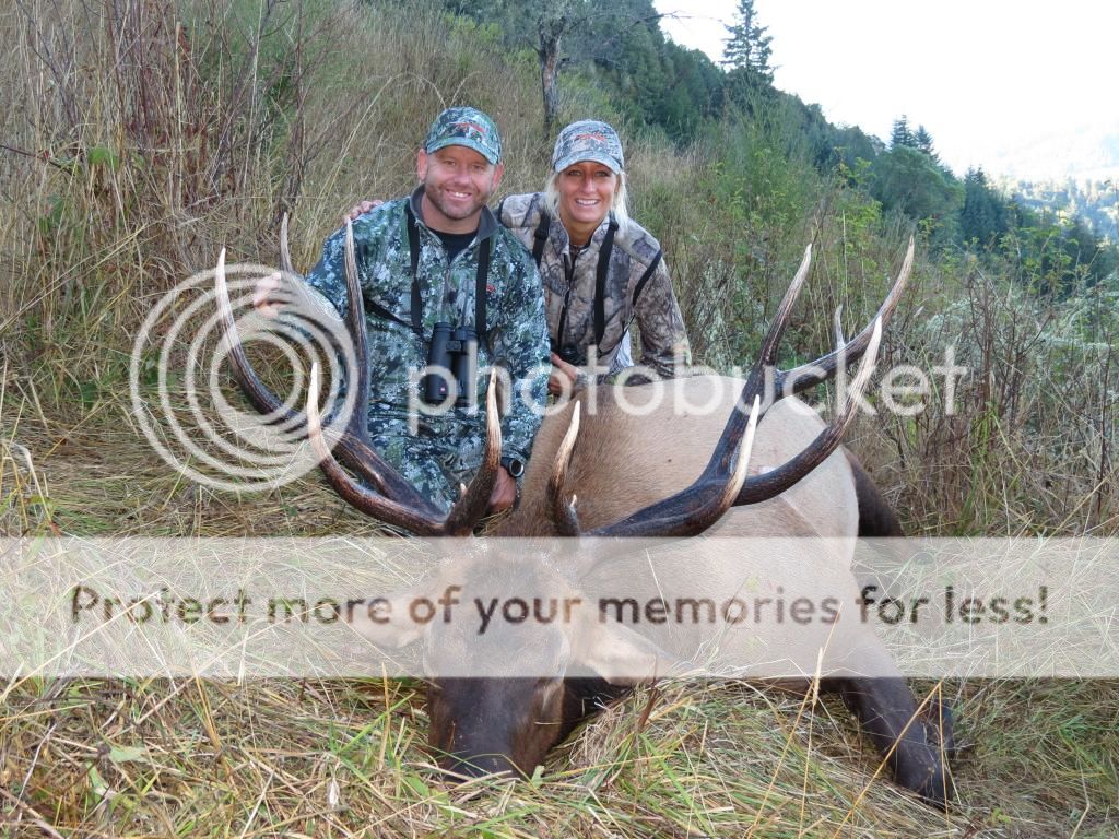 2014 Western Oregon Raffle Elk | IFish Fishing Forum
