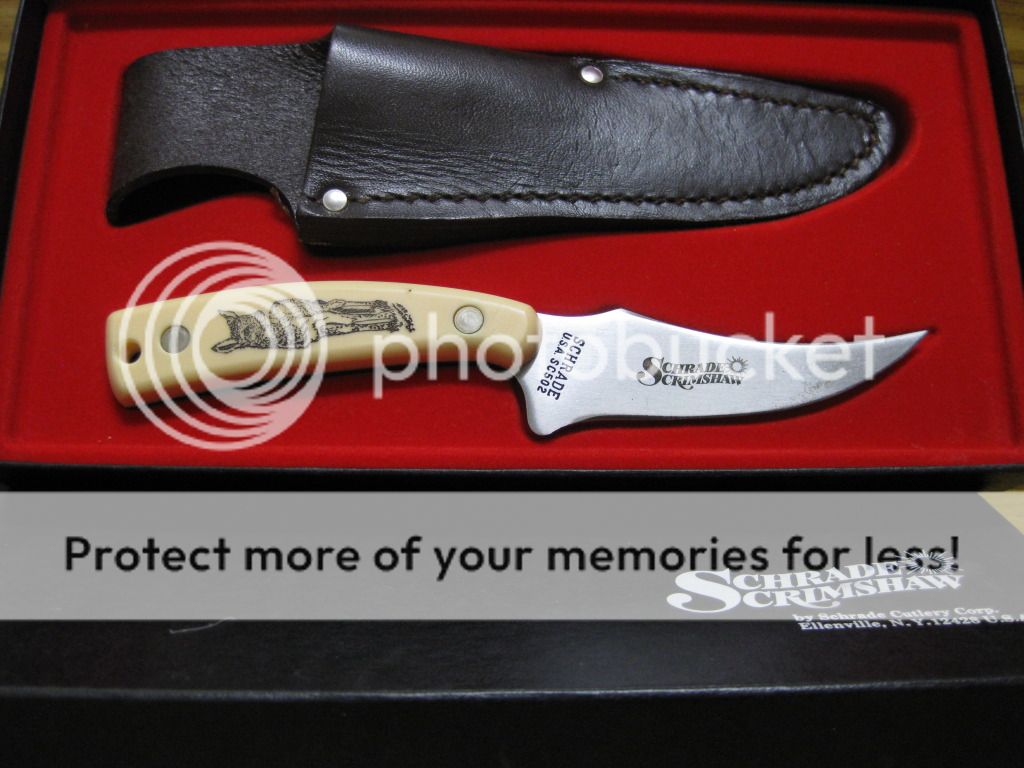 Sharpfinger | Rimfire Central Firearm Forum